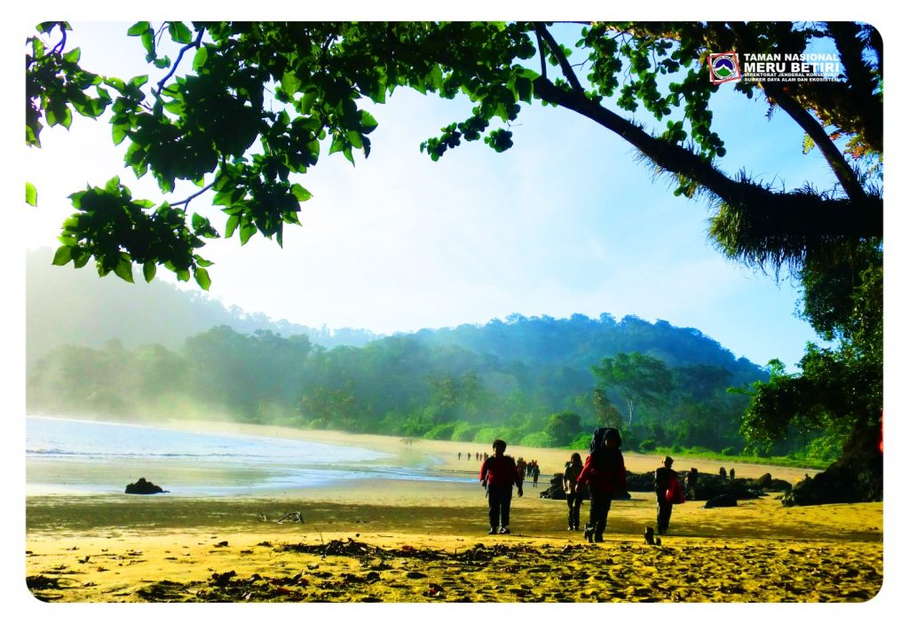 Meru Betiri National Park: 9 Facts About The Hidden Paradise